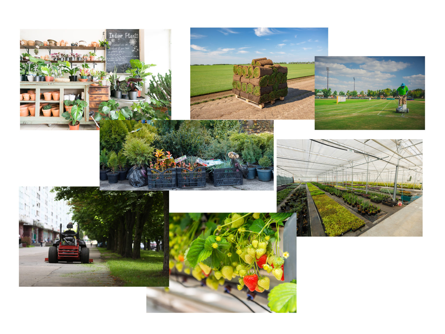 Homepage - Southern Agricultural Insecticides, Inc.